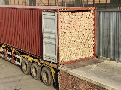 China Direct Great Standard 4 Gage Welded Mesh Roll with Corrosion Resistance for sale