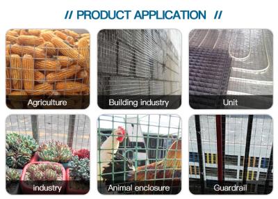 China Direct Great Standard 4 Gage Welded Mesh Roll with Corrosion Resistance for sale