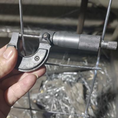 China Custom Coated Iron Welded Wire Mesh for Rabbit Chicken Cage and Tree/Shrub Protection for sale