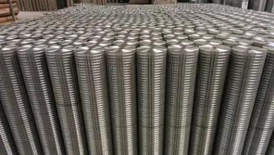 China Welded Wire Mesh for sale
