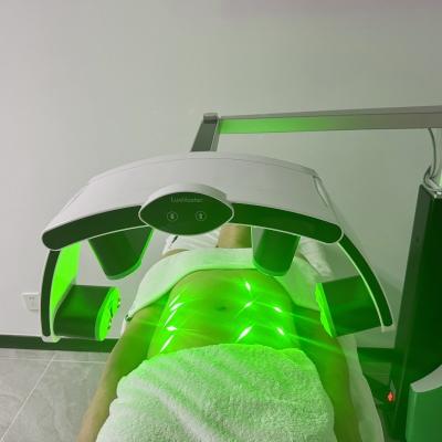 Cina Dispositivo per la perdita di peso dei diodi 532NM della macchina 10D per la terapia laser a freddo in vendita