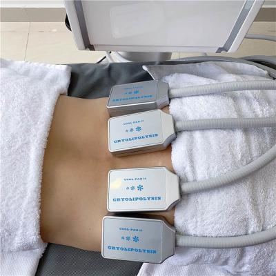 China Het mobiele Koele van de de Temperatuurwaaier van de Vermageringsdieetmachine -5℃~10℃ Geschikte Gebruik Te koop