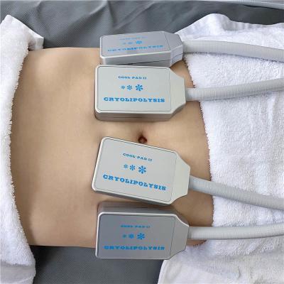 中国 4ボディ細くのためのハンドル30Hz Cryolipolysis EMS機械 販売のため