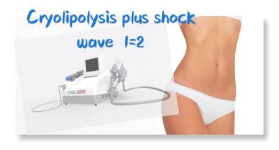 Cina Macchina di congelamento grassa di Cryolipolysis di terapia della stazione termale 200MJ ESWT in vendita