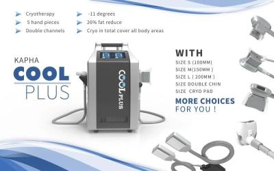 Cina Dispositivo grasso di lipolisi di Cryo della macchina di congelamento di Cryolipolysis con la maniglia del doppio mento in vendita
