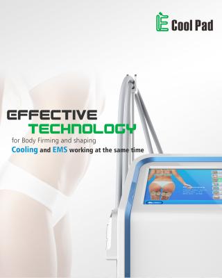 China Máquina portátil de pouco peso da fisioterapia do EMS, máquina de Cryolipolysis da casa à venda