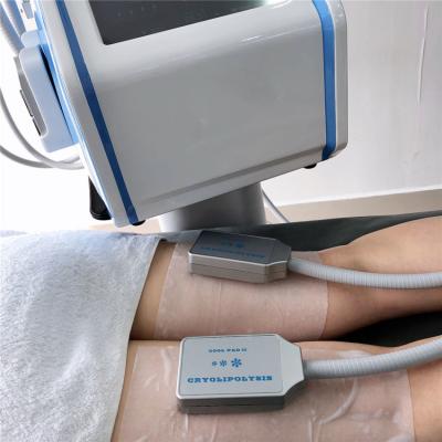 China Dos graus gordos da máquina de congelação -5-10 de Cryolipolysis do tela táctil variação da temperatura fresca à venda