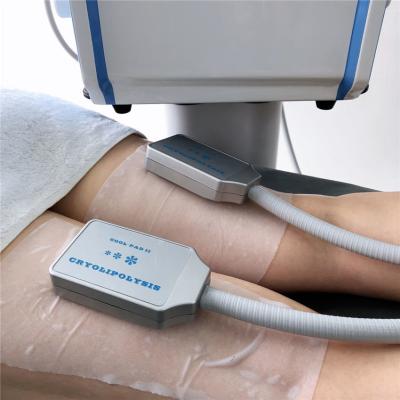 中国 4ボディ細くのためのハンドル30Hz Cryolipolysis EMS機械 販売のため