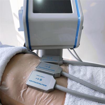 Cina Macchina di congelamento grassa a 10,4 pollici dello schermo SME 30HZ Cryolipolysis con il modo 9 in vendita