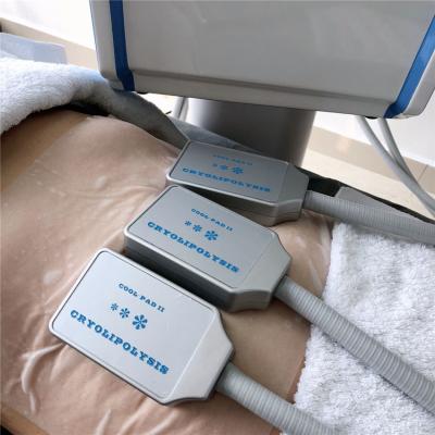 Cina la macchina di congelamento grassa di 20Hz Cryolipolysis con il muscolo di SME stimola in vendita