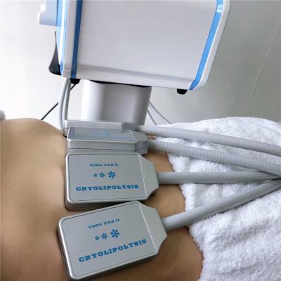 Cina Progettazione di organizzazione umana grassa della macchina di congelamento di Cryolipolysis di dimensione compatta in vendita