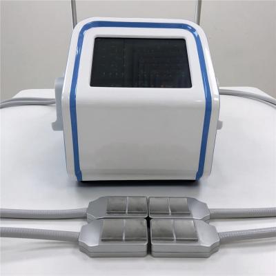 China Macchina di congelamento grassa domestica di Cryolipolysis per riduzione delle celluliti di forma del corpo for sale
