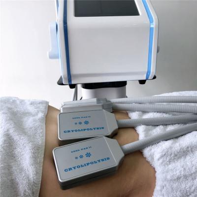 Cina Macchina di congelamento grassa del peso 45℃ Cryolipolysis di perdita in vendita