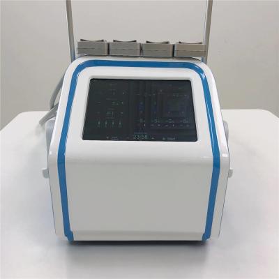 Cina Progettazione di organizzazione umana grassa della macchina di congelamento di Cryolipolysis di dimensione compatta in vendita