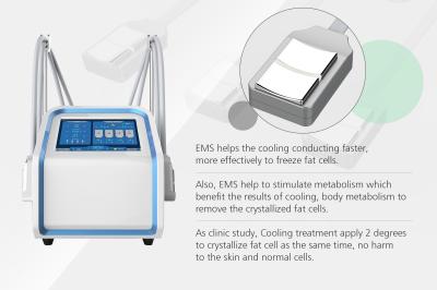 Cina Macchina di congelamento grassa domestica di SME Cryolipolysis per riduzione delle celluliti in vendita