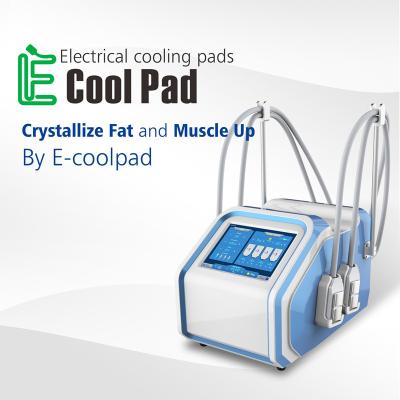 Cina Macchina di congelamento grassa di frequenza 30HZ Cryolipolysis di SME in vendita