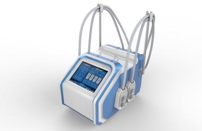 Cina la macchina di congelamento grassa di 20Hz Cryolipolysis con il muscolo di SME stimola in vendita