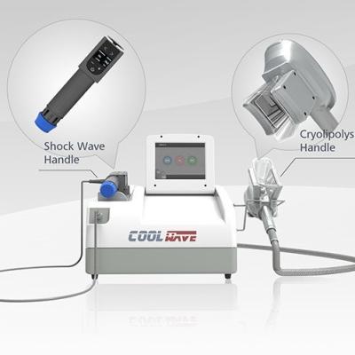Cina Macchina di congelamento grassa portatile di Mj Cryolipolysis delle celluliti 200 di perdita in vendita