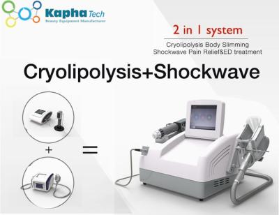 Cina Macchina di congelamento grassa fresca portatile di ED Shockwave Cryolipolysis in vendita