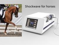 China 16Hz Veterinary Laser Shockwave Therapy Machine for Equine ESWT 200mJ for sale
