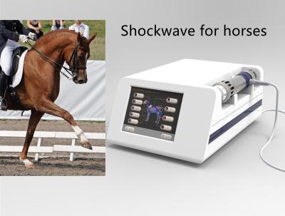 Cina 16Hz macchina veterinaria di terapia del laser Shockwave in vendita