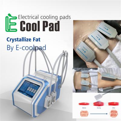 China Macchina di congelamento grassa domestica di SME Cryolipolysis per riduzione delle celluliti for sale