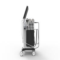 China 300KHz Multifunction Tecar Therapy Machine with Shock Wave 6 Bar and 448KHz RF for sale
