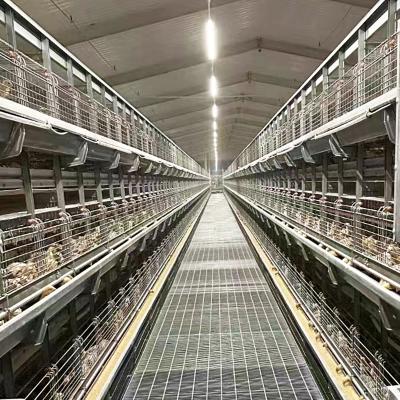 China Automatic Battery Day Old Chicks Poultry Equipment Automated Pullet Brooding Cages for Layers for sale
