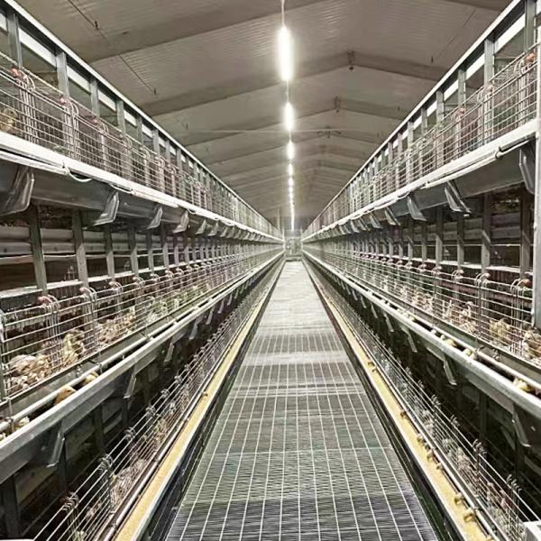 Quality Automatic Battery Day Old Chicks Poultry Equipment Automated Pullet Brooding for sale
