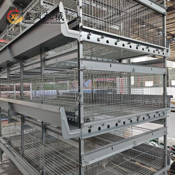 Quality Automatic Battery Day Old Chicks Poultry Equipment Automated Pullet Brooding for sale