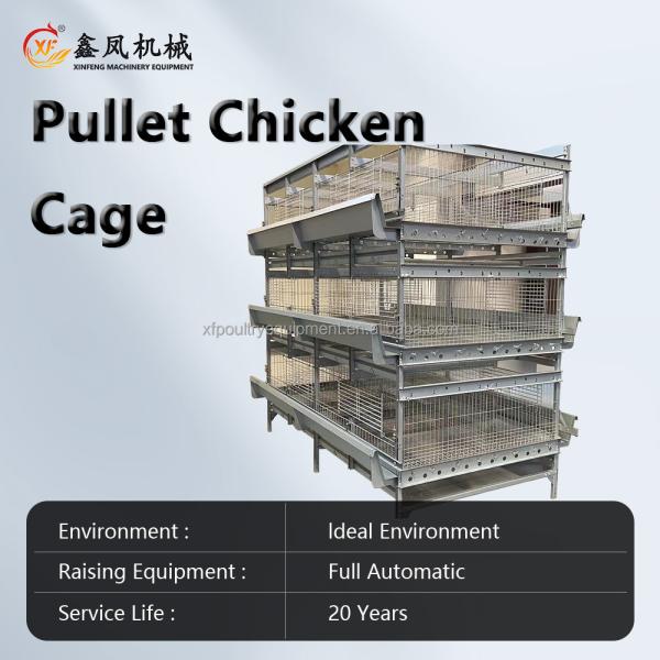 Quality Automatic Battery Day Old Chicks Poultry Equipment Automated Pullet Brooding for sale