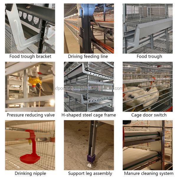 Quality Automatic Battery Day Old Chicks Poultry Equipment Automated Pullet Brooding for sale