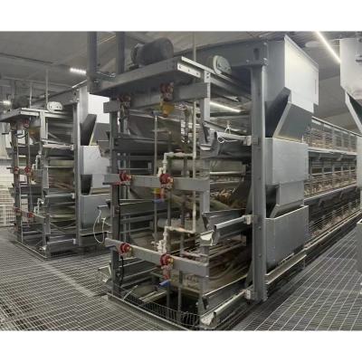 China Poultry Farm Automatic Equipment Multi Tiers Pullet Layer Egg Hen Chicken Cage Day Old Baby Chickens Pullet Chicken Cage for sale