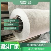 China 0.6mm PP PE Shower Wall Liner Waterproof Membrane For Project Needs for sale