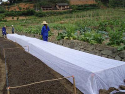 China Waterproof FLAT Pattern Spunbonded PP Non Woven Fabric For Bedding Interlining for sale