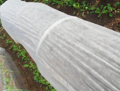 China Non Woven Fabric Rolls 100% PP Waterproof Packaging Bags Fabric For Hospital for sale