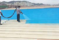 China Waterproof Liquid Coating For Leak Plugging Gray Polyurea for sale
