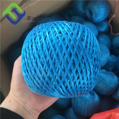 China Red Color PP Agriculture Baler Twine 2mmx300m Hot Sale for sale