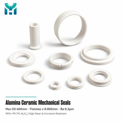 China High Precision Alumina Ceramic Mechanical Seal Ring for sale
