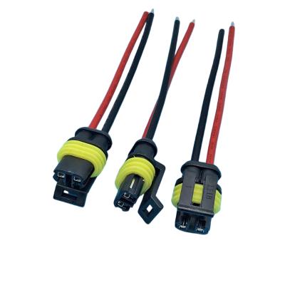 China Custom Hook-Up Wire | 2 Pin Waterproof Plug Wire Harness Connector for Car  | Made in China | No Minimum Order for sale