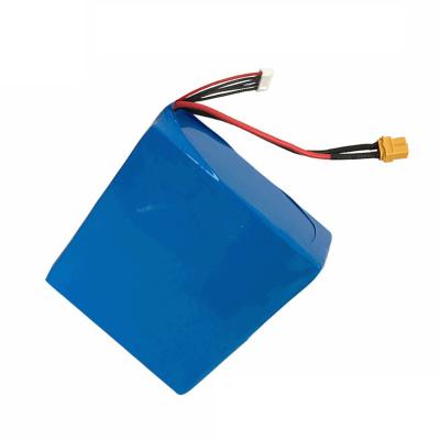 China High-Discharge 18650 Lithium-ion Battery Pack with XT60 Connector | 20000 MAH LiFePO4 12.8V Lithium Phosphate Rechargeable Battery for RC Models | Made in China for sale