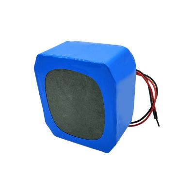 China 12V 40Ah Phosphate Cells Lithium Battery Pack MSDS Nimh Battery Pack for sale