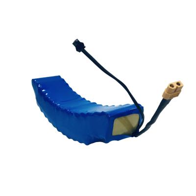 China CC CV | Custom Curved 18650 Lithium Battery Pack with XT60 Connector | 20Ah Rechargeable Lithium Battery Packs for Electric Vehicles | UN38.3 China Factory for sale