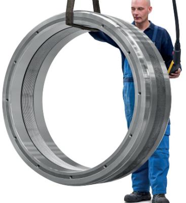 Cina Acciaio inossidabile X46Cr13/4Cr13 Ring Die per Matador M5 Pellet Machine con lunga durata in vendita