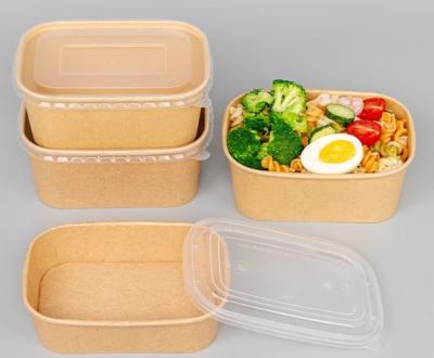 China Eco Friendly Disposable Food Container Leak Proof Food Grade Safe Material Takeout for sale