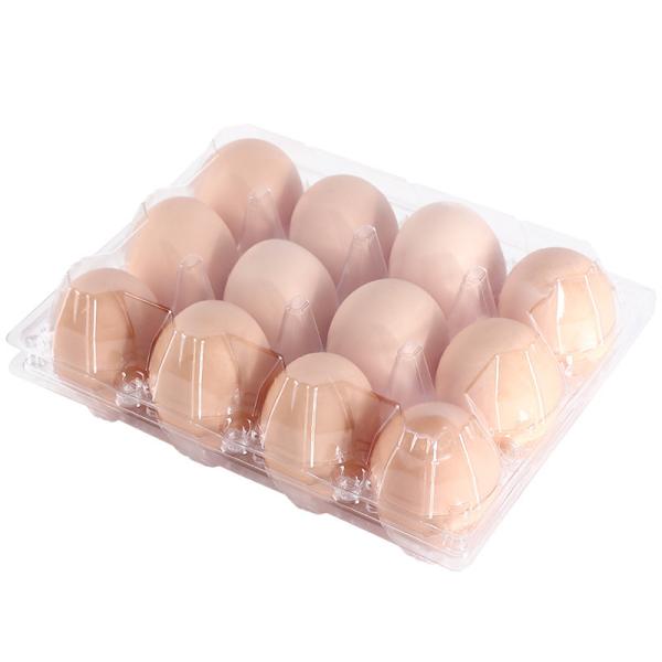Quality Thickened PET 12 Egg Transparent Display Egg Packaging Tray Thermoformed for sale