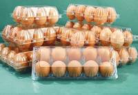 Quality Clear 30 Cell Disposable Plastic Egg Container With Lid For Shockproof Egg for sale