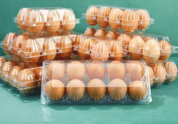 Quality Clear 30 Cell Disposable Plastic Egg Container With Lid For Shockproof Egg Storage Transport for sale