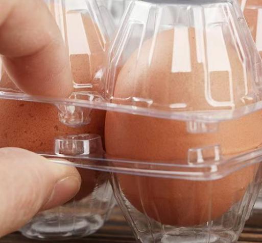 Quality Clear 30 Cell Disposable Plastic Egg Container With Lid For Shockproof Egg for sale