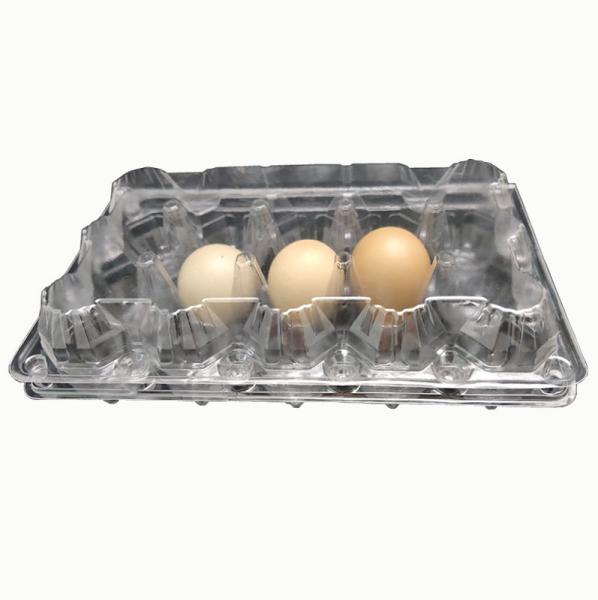 Quality Transparent PVC 10 Holes Egg Packaging Tray Premium Eggs Durable Packaging Box for sale